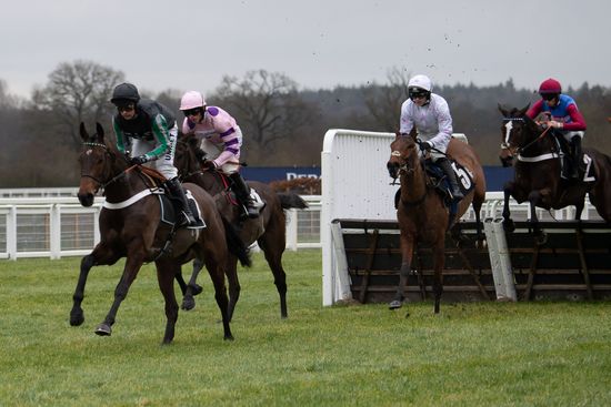 Horse Springwell Bay No 5 Ridden Editorial Stock Photo - Stock Image ...