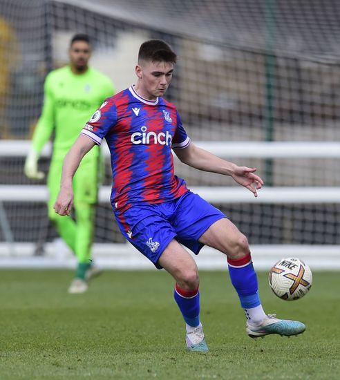 Sean Grehan Crystal Palace U21s During Editorial Stock Photo - Stock ...