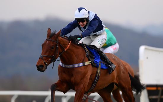 Looking Larry Ridden By Sean Houlihan Editorial Stock Photo - Stock ...