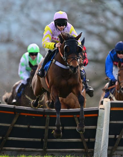 Escobedo Ridden By Harry Reed Race Editorial Stock Photo - Stock Image ...