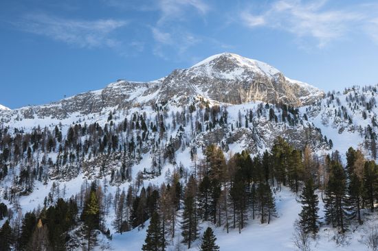Bell Ringer Winter Radstaedter Tauern Obertauern Editorial Stock Photo ...