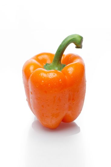 Sweet Bell Pepper Shadow On White Editorial Stock Photo - Stock Image ...