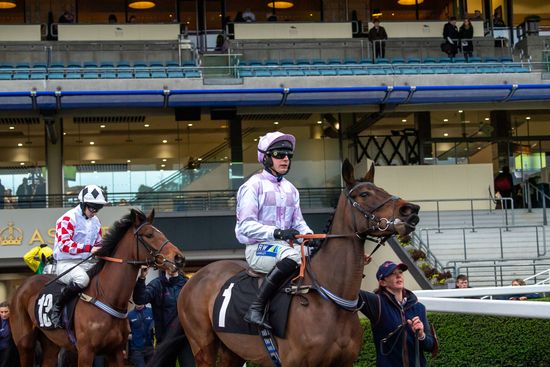 Horse Rex Dingle Ridden By Jockey Editorial Stock Photo - Stock Image ...