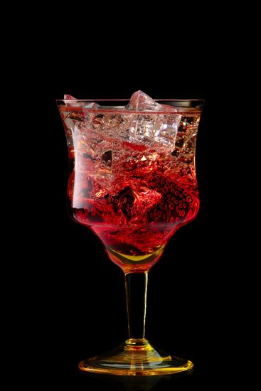 Cocktail Gin Tonic Pomegranate Bitter Isolated Editorial Stock Photo ...