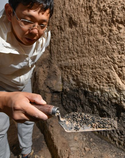 Archaeologist Shows Carbonized Rice Unearthed Neolithic Editorial Stock ...