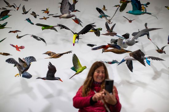 Woman Takes Selfie Installation Titled Birds Editorial Stock Photo ...