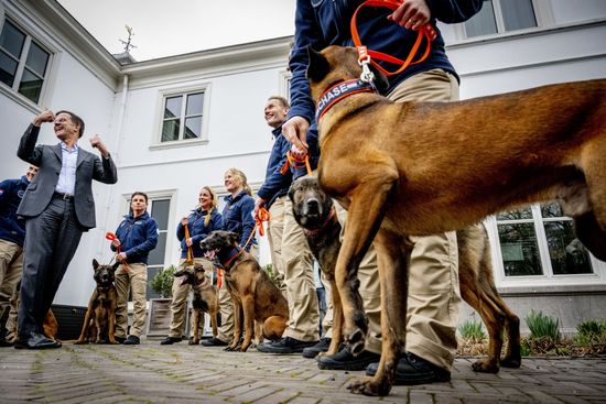 Hague Members Dutch Rescue Team Usar Editorial Stock Photo - Stock ...