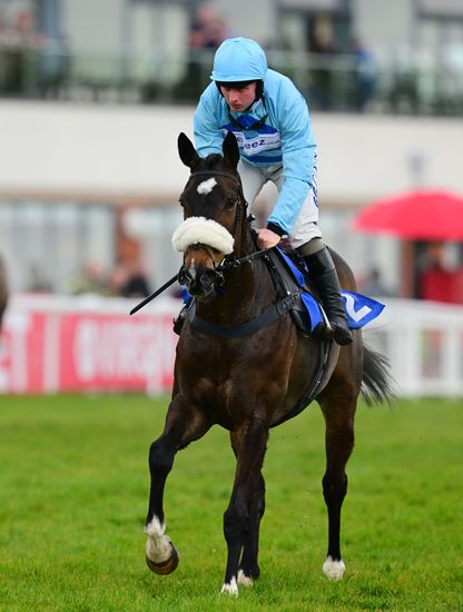 Race Winner Gustavian Ridden By Sean Editorial Stock Photo - Stock ...