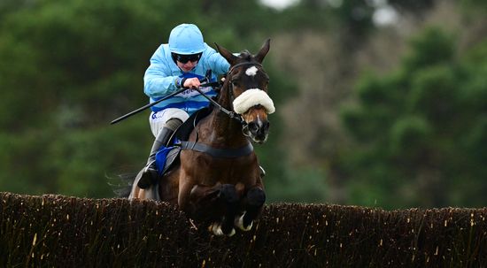 Race Winner Gustavian Ridden By Sean Editorial Stock Photo - Stock ...