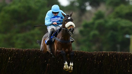 Race Winner Gustavian Ridden By Sean Editorial Stock Photo - Stock ...