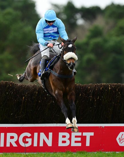 Race Winner Gustavian Ridden By Sean Editorial Stock Photo - Stock ...