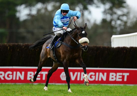 Race Winner Gustavian Ridden By Sean Editorial Stock Photo - Stock ...