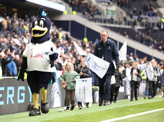 Chirpy Cockerel Young Fans Editorial Stock Photo - Stock Image ...