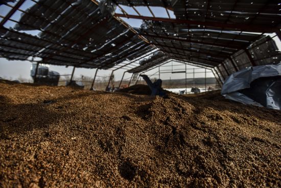 Damaged Grain Storage Destroyed Farm Bohorodychne Editorial Stock Photo ...