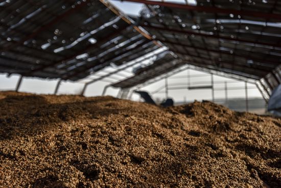 Damaged Grain Storage Destroyed Farm Bohorodychne Editorial Stock Photo ...