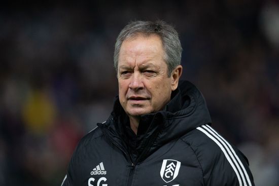 Fulham Assistant Manager Stuart Gray Before Editorial Stock Photo ...