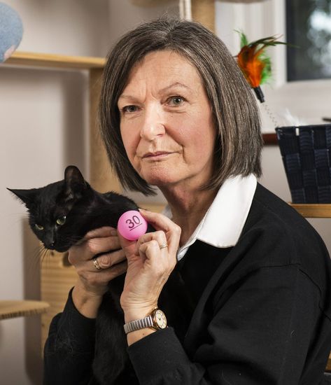 Tracy Howe Operations Director Cat Welfare Editorial Stock Photo ...