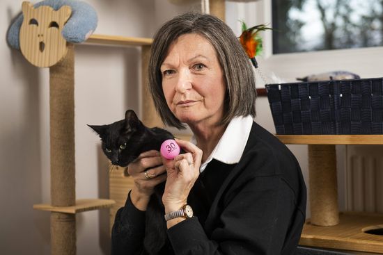 Tracy Howe Operations Director Cat Welfare Editorial Stock Photo ...