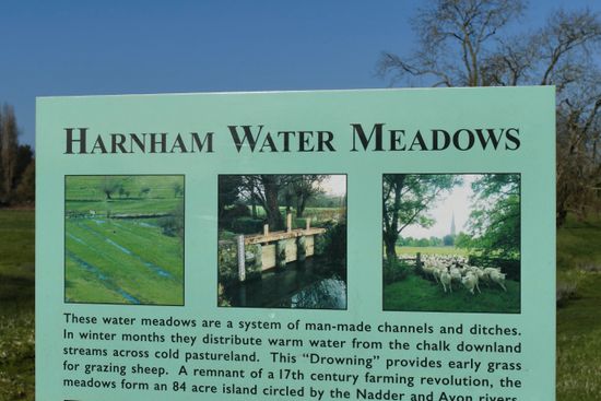 Harnham Water Meadows 84 Acres Beautiful Editorial Stock Photo - Stock ...