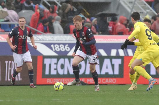 Bologna Italy Sport Soccer Bologna Fc Editorial Stock Photo - Stock ...