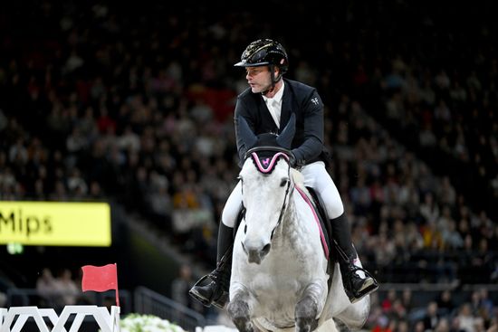 Gregory Cottard France Riding Horse Bibici Editorial Stock Photo ...
