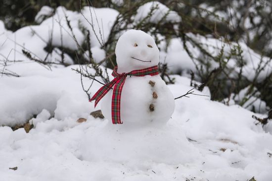 Snowman Seen After Rare Snowstorm Southern Editorial Stock Photo ...