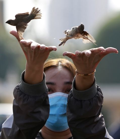 Woman Releases Birds Traditional Belief Get Editorial Stock Photo ...