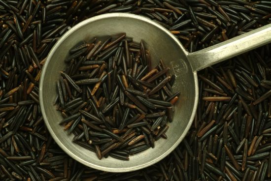 Food Black Rice Wild Rice Zizania Editorial Stock Photo - Stock Image ...