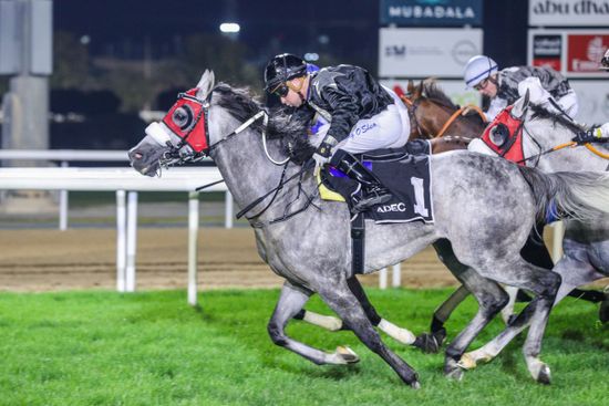 Af Alajaj Fr Ridden By Tadhg Editorial Stock Photo - Stock Image ...