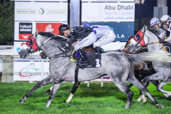 Af Alajaj Fr Ridden By Tadhg Editorial Stock Photo - Stock Image ...