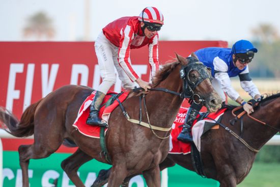 Go Soldier Go Usa Ridden By Editorial Stock Photo - Stock Image ...