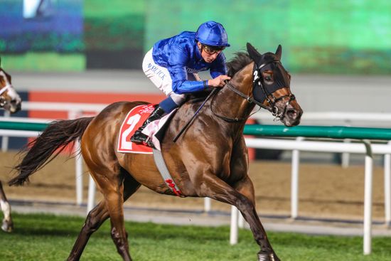 Al Suhail Gb Ridden By William Editorial Stock Photo - Stock Image ...