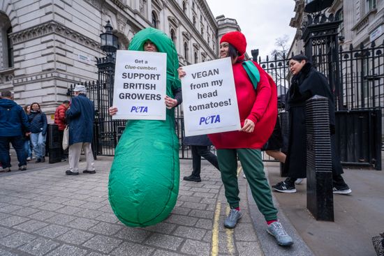 Two Peta Protesters Dressed Cucumber Tomato Editorial Stock Photo ...