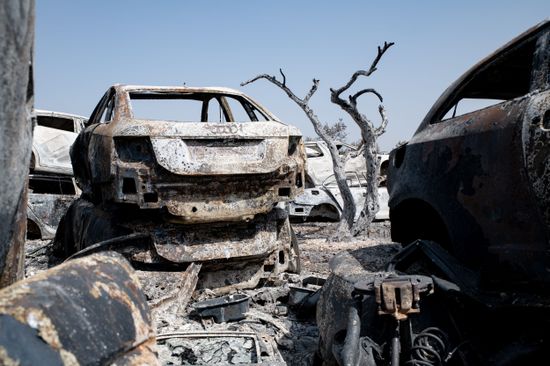 Burned Olive Tree Vehicles Which Were Editorial Stock Photo - Stock ...