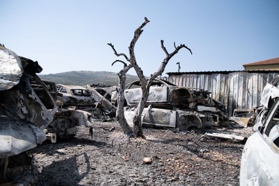 Burned Olive Tree Cars Which Were Editorial Stock Photo - Stock Image ...