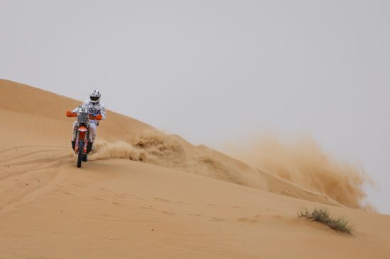 46 Lucci Paolo Ita Bas World Editorial Stock Photo - Stock Image | Shutterstock