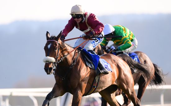 Trevada Ridden By Brendan Powell Race Editorial Stock Photo - Stock ...
