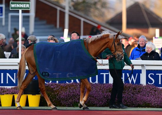 Racehorse Secret Squirrel Race 6 435 Editorial Stock Photo - Stock ...