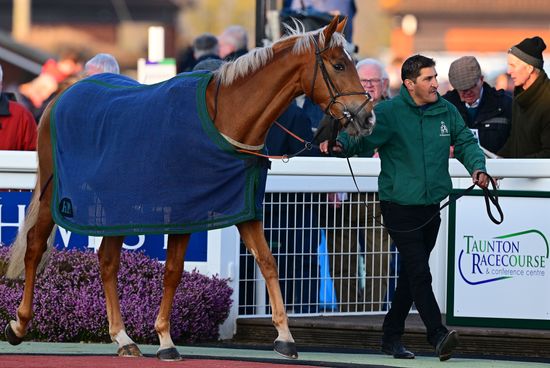 Racehorse Secret Squirrel Race 6 435 Editorial Stock Photo - Stock ...