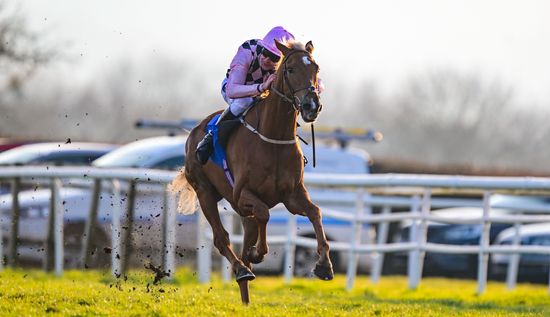 Race Winner Secret Squirrel Ridden By Editorial Stock Photo - Stock ...