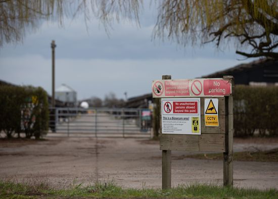 Warning Signs Entrance Poultry Farm Catfoss Editorial Stock Photo ...