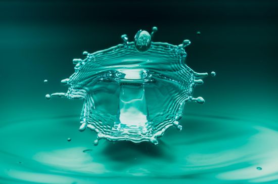 Macro Photography Water Drops Editorial Stock Photo - Stock Image ...