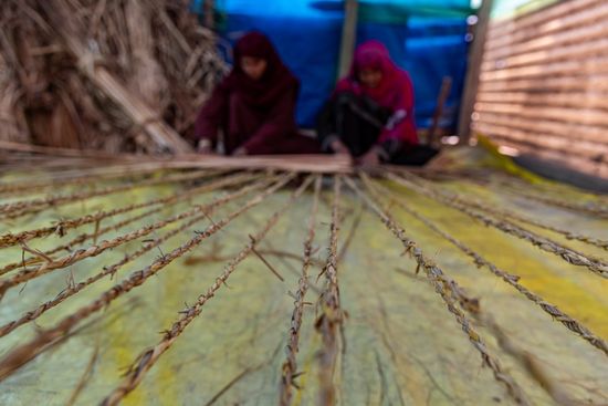 Kashmiri Women Artisans Weave Reed Rice Editorial Stock Photo - Stock ...