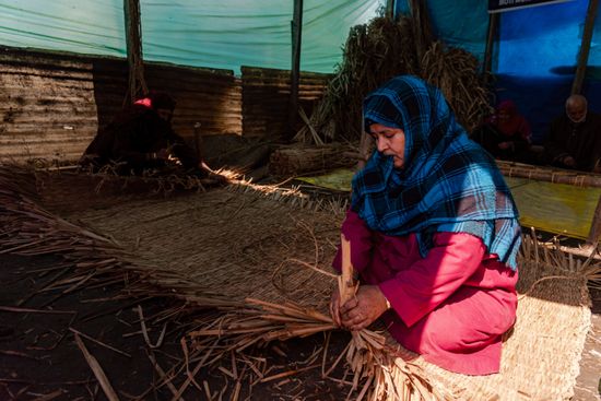 Woman Artisan Weaves Reed Rice Straws Editorial Stock Photo - Stock ...
