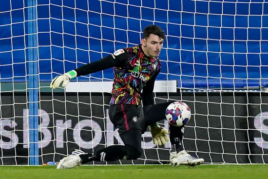 Max Oleary Bristol City Makes Save Editorial Stock Photo - Stock Image ...