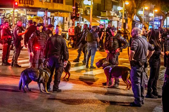 Israeli Police Dog Section Seen After Editorial Stock Photo - Stock ...