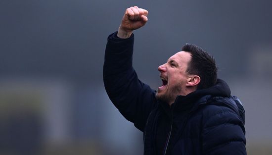 Winning Celebrations Stuart Maynard Manager Wealdstone Editorial Stock ...