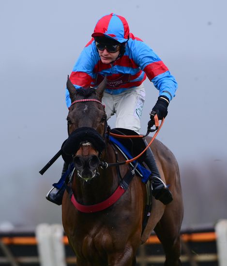 Race Winner Mardoof Ridden By Sean Editorial Stock Photo - Stock Image ...