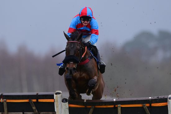 Mardoof Ridden By Sean Houlihan Race Editorial Stock Photo - Stock ...