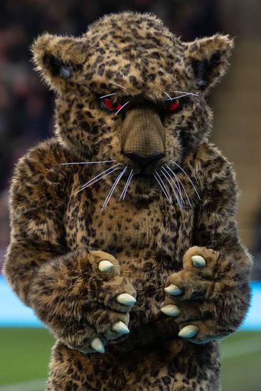 Leigh Leopards Mascot Leeto Before Betfred Editorial Stock Photo ...